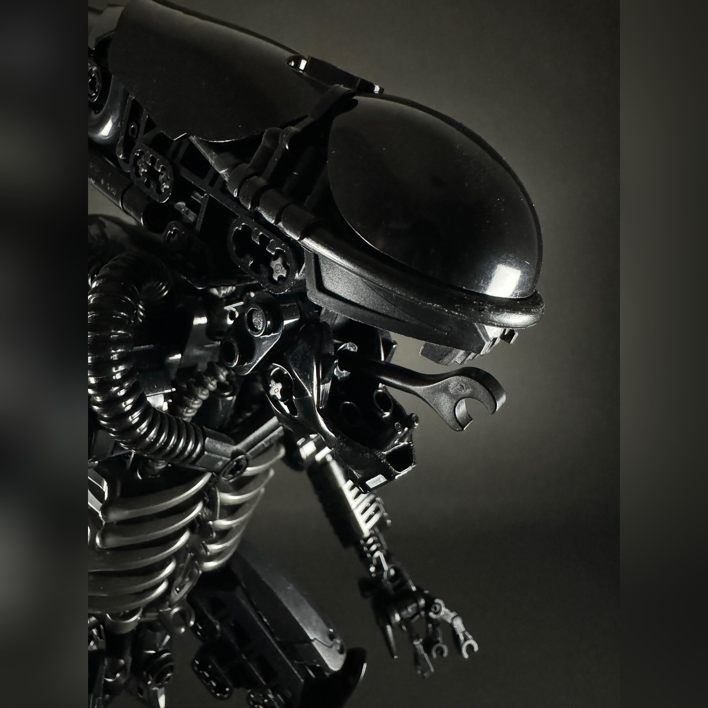 A Predator fresh from the Badlands, an Alien destined to be prey - The ...