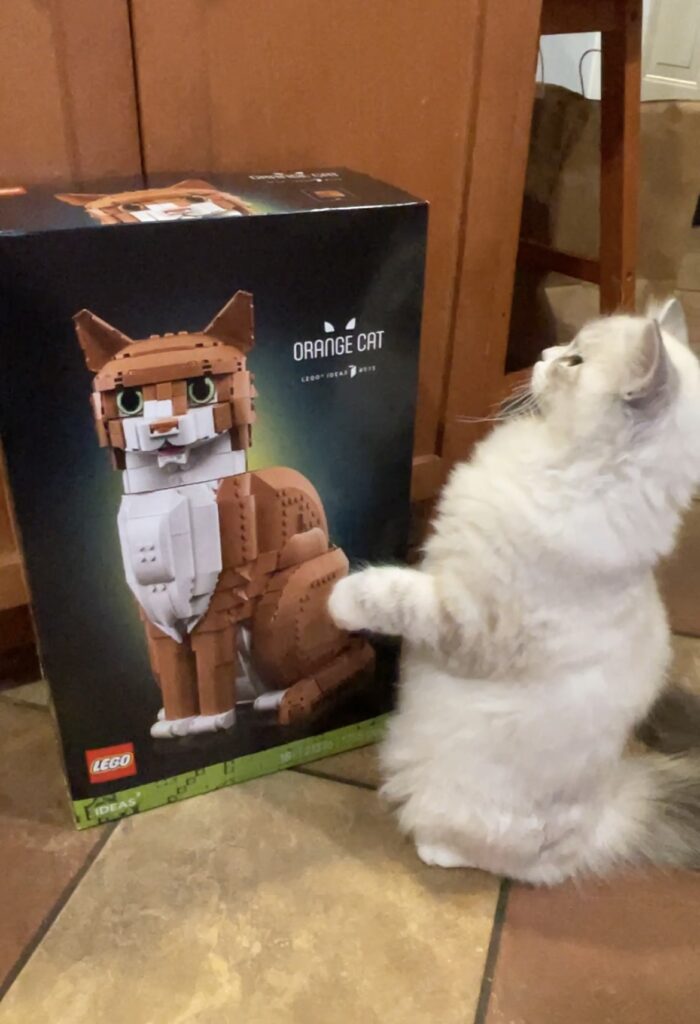LEGO Ideas 21376 Orange Cat: Recolored classic lands on its feet ...